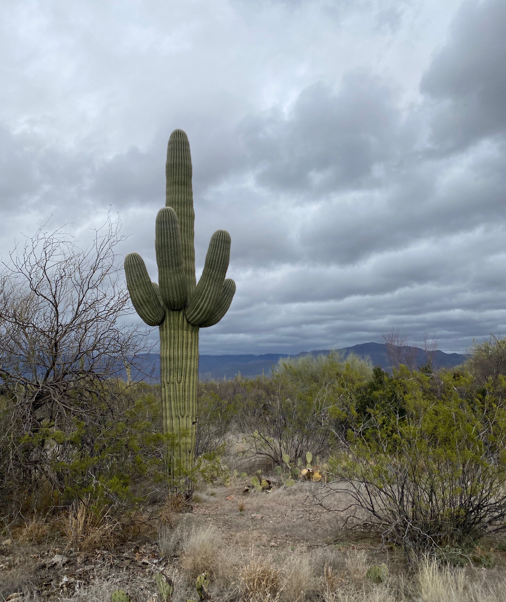 Tim Ehrlich | SeaPeople App