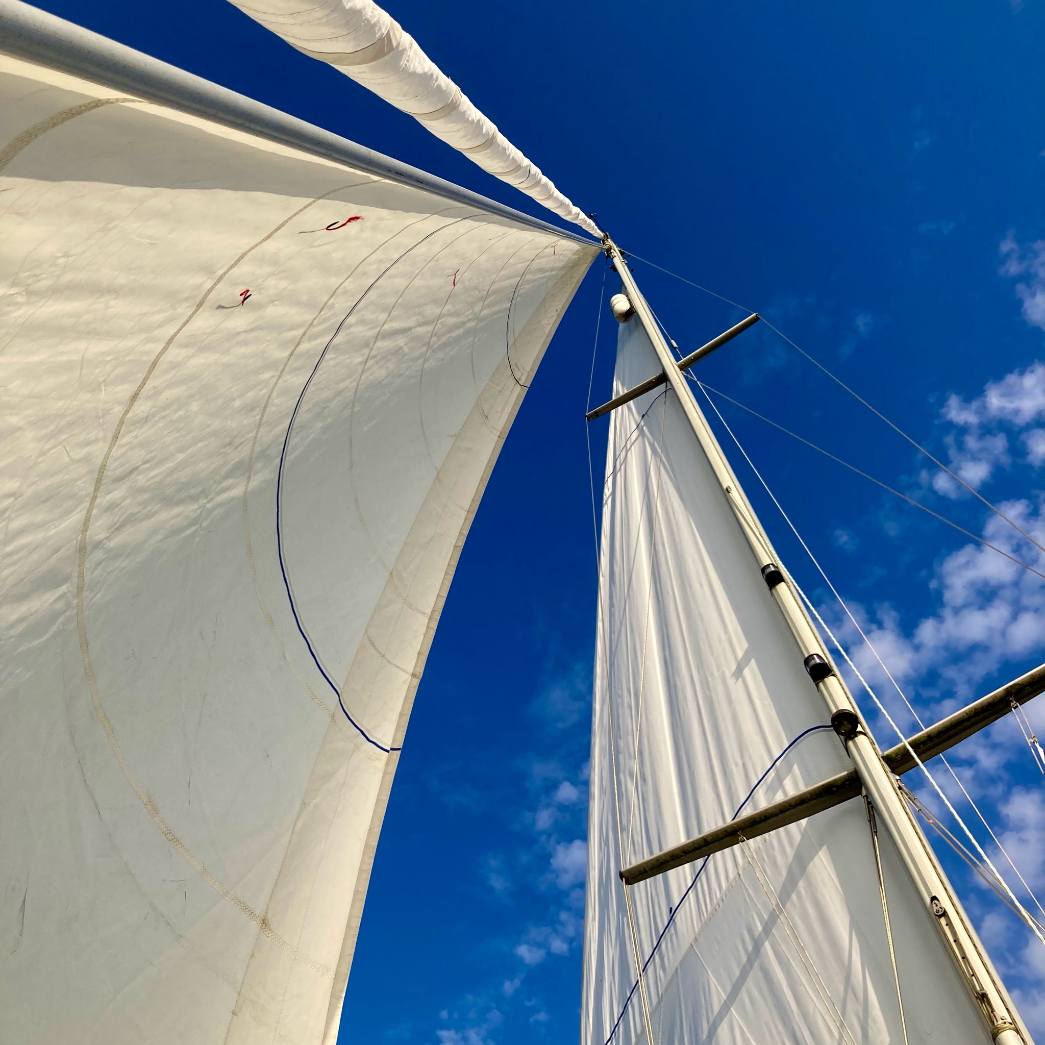 Saga | SeaPeople App