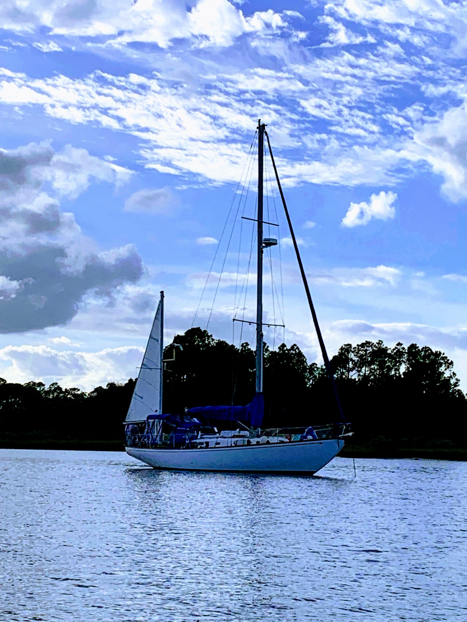 Joe Brasfield | SeaPeople App