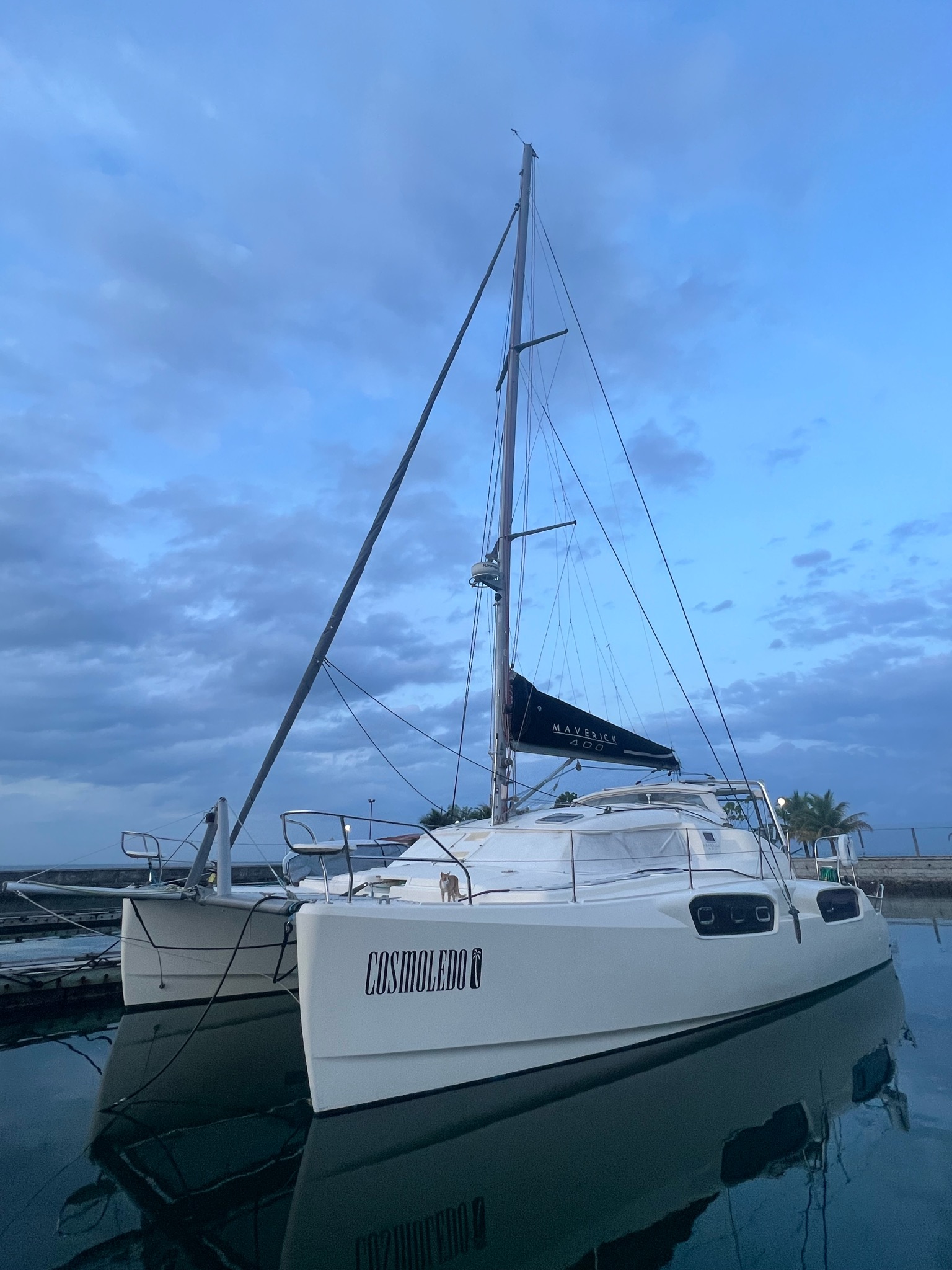Joyce & Rob | What happened to downwind sailing!? | SeaPeople App